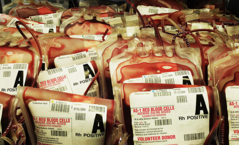 The Sanguinarian Survey Results Are In! – Vamped